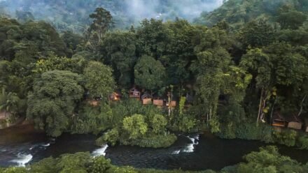 Borderlands - Borderlands | Sri Lanka