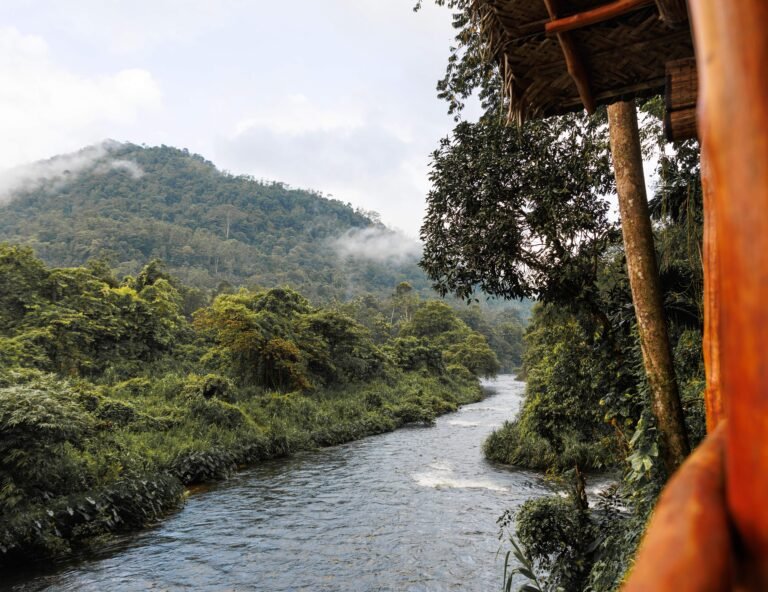 Welcome to Borderlands Adventure Hotel Kitulgala | Sri Lanka
